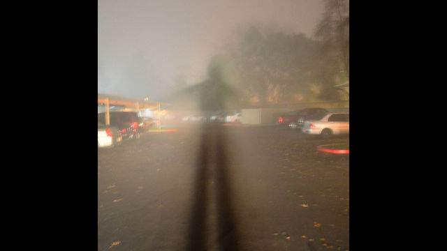 Ghostly shadows appear in fog