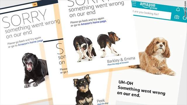 Amazon error shows dogs instead of deals
